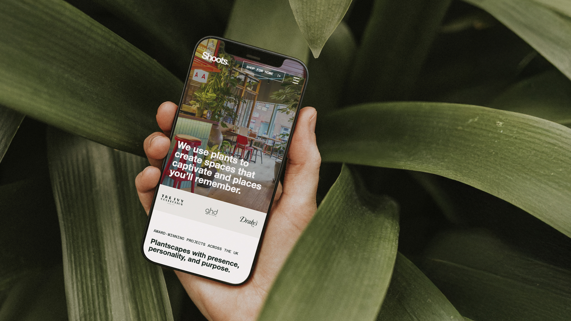 Pixelroad - Our Work - Digital Transformation for Growth